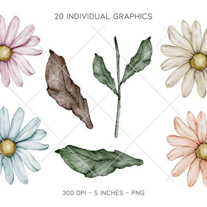 Watercolor Daisy Clipart, Floral Clipart, Daisies Clipart, Watercolor ...