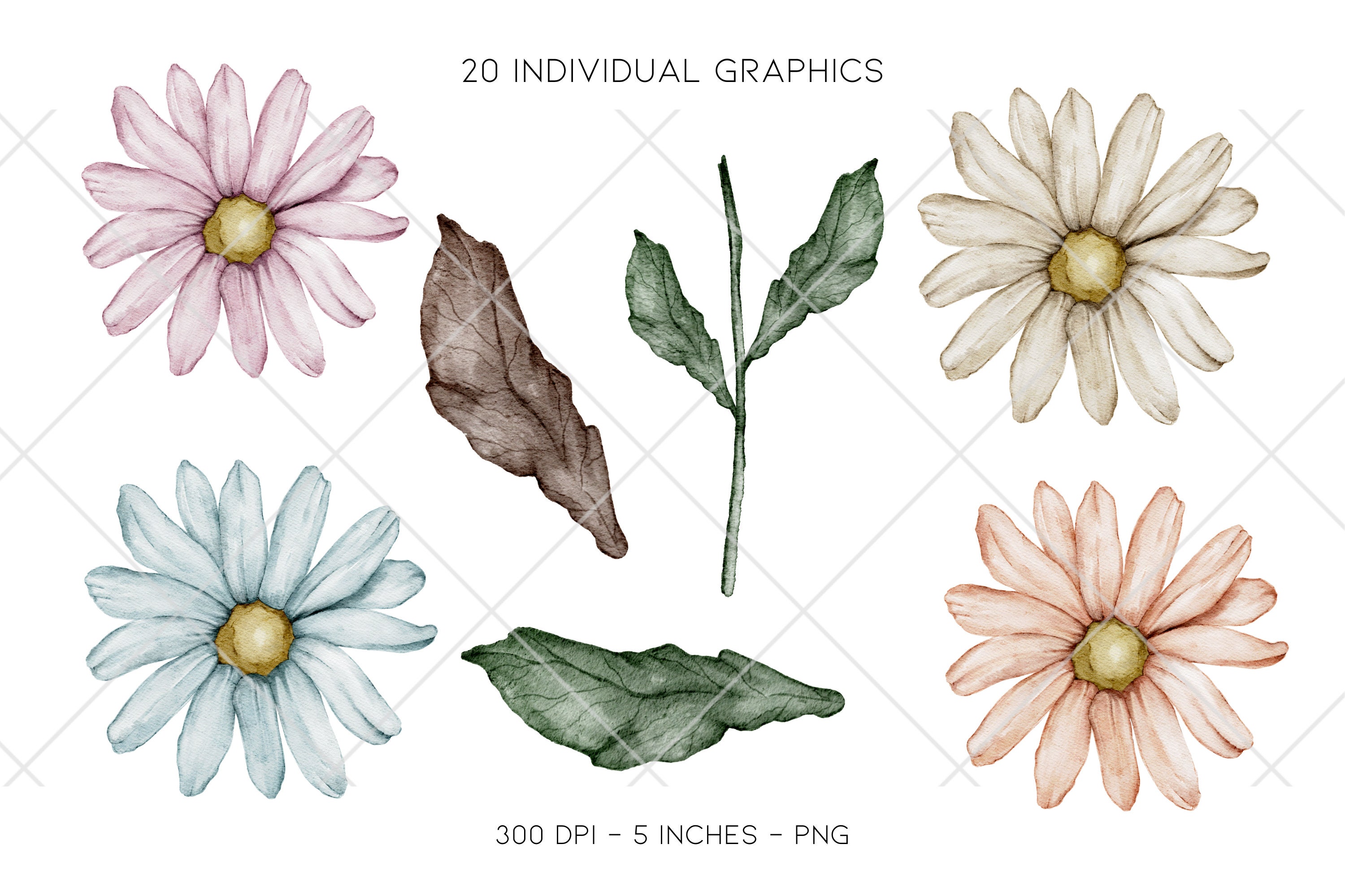 Watercolor Daisy Clipart, Floral Clipart, Daisies Clipart, Watercolor ...