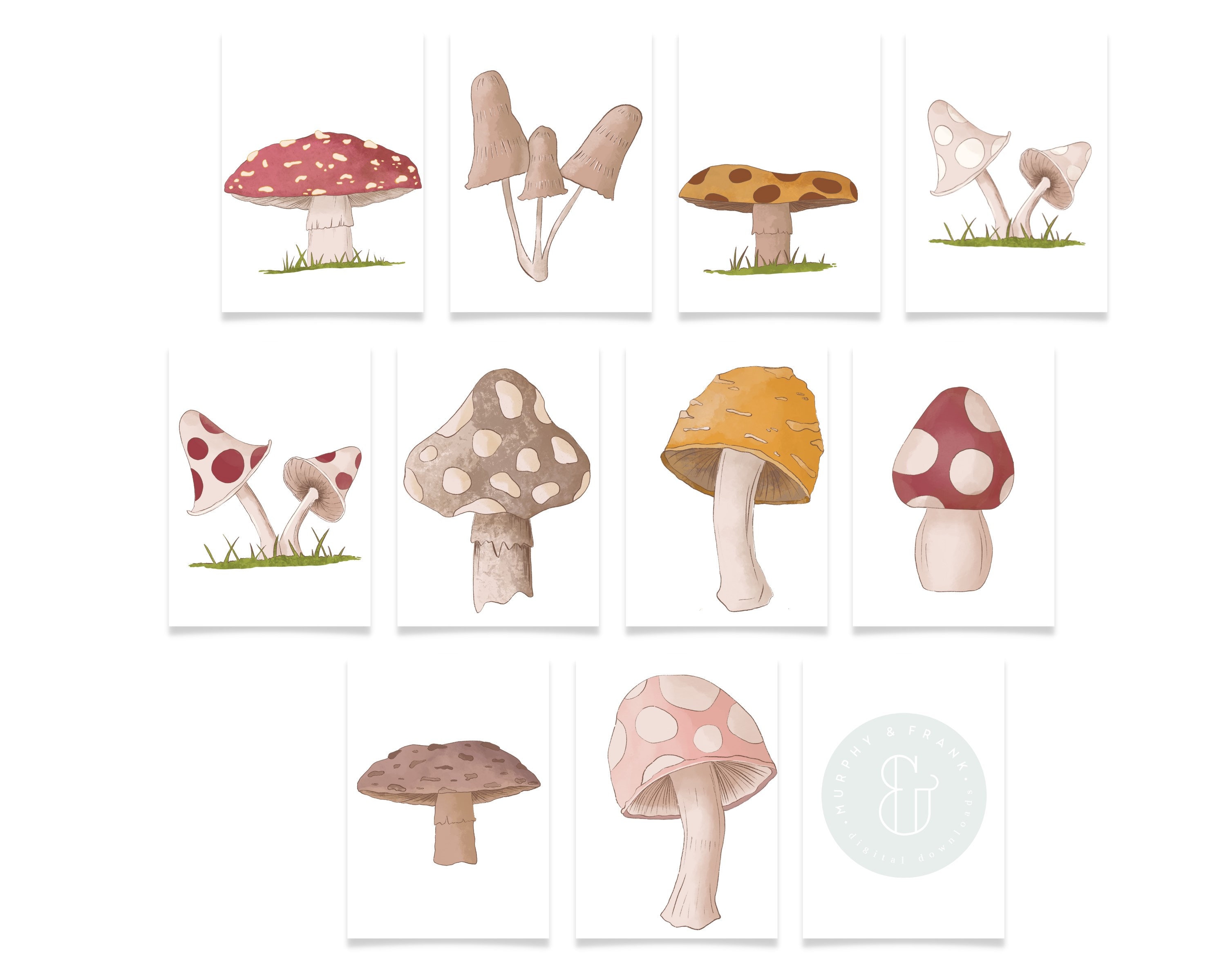 Watercolor Mushroom Clipart, Mushroom Png, Woodland Clipart, Mushrooms ...