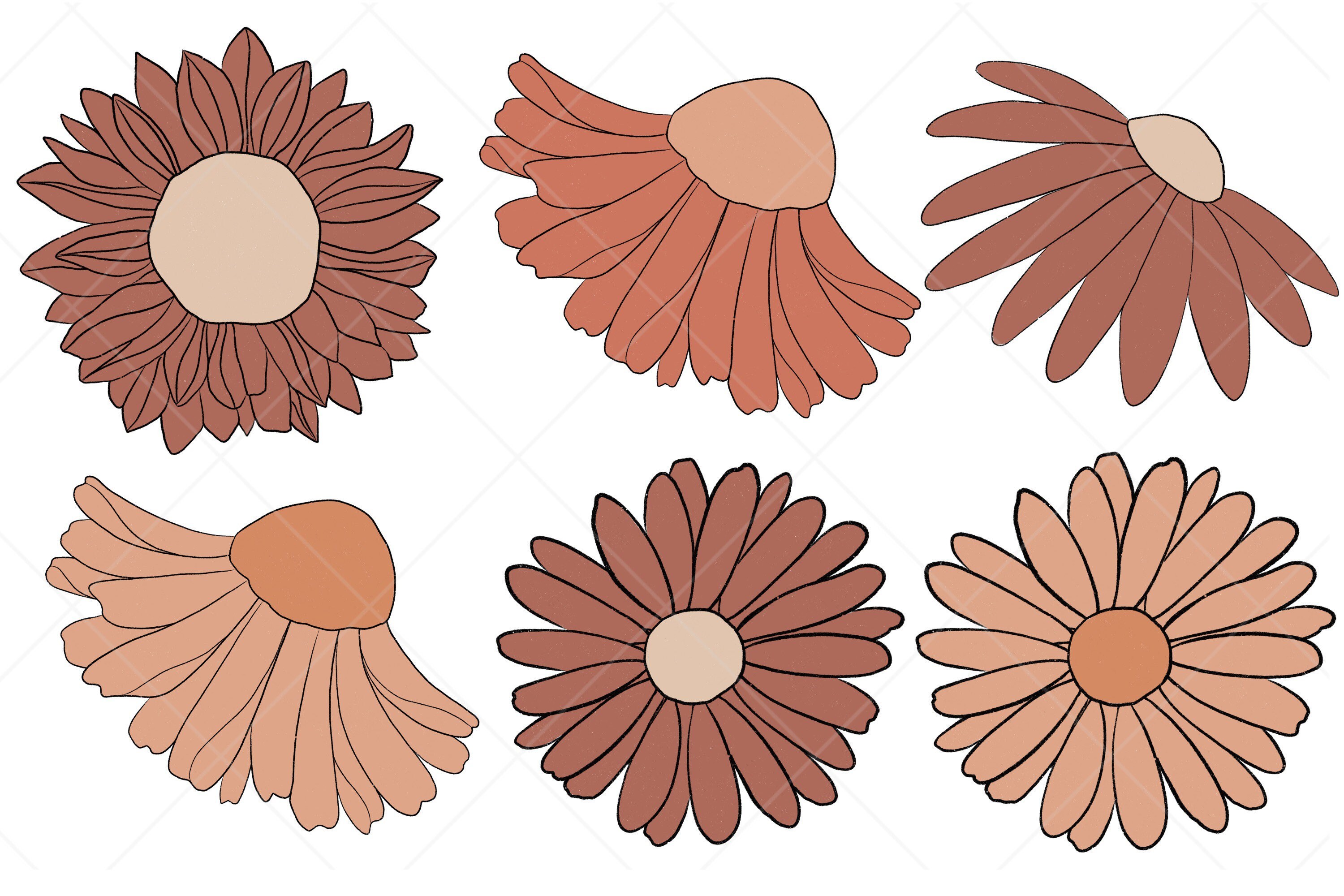 Wildflower Clipart Boho Flowers Clipart Coral Flower - Etsy