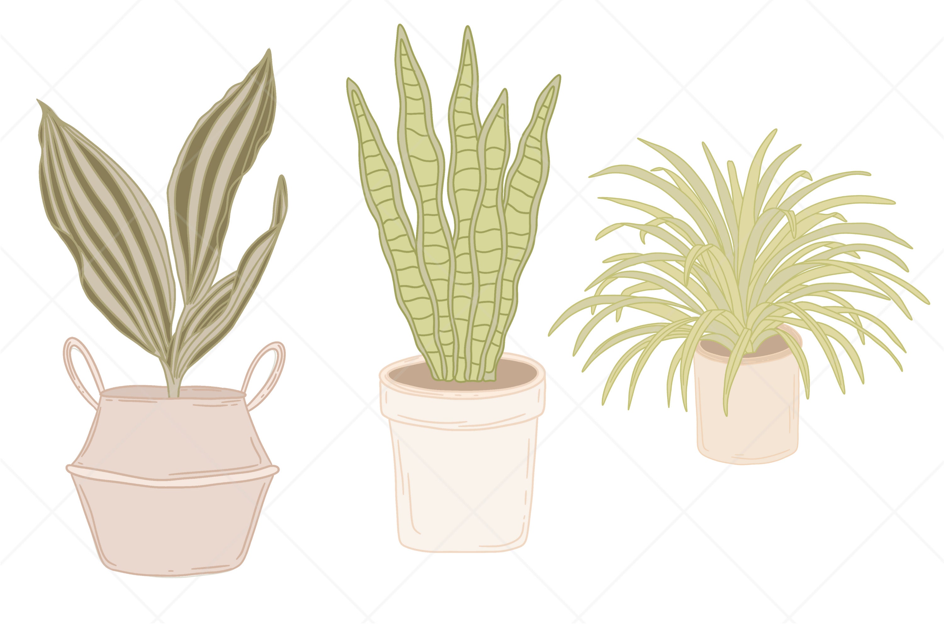 Houseplant Clipart, Midcentury Modern Clipart, Plant Clipart, Boho ...