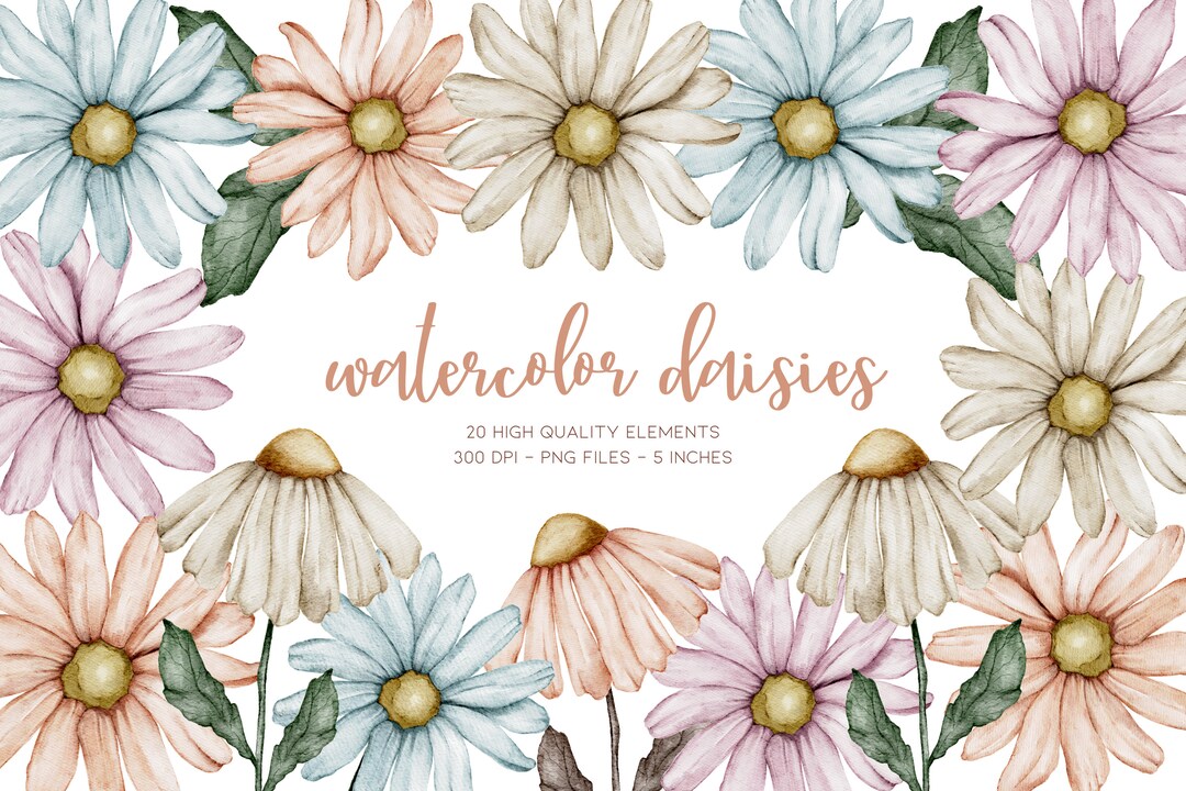 Watercolor Daisy Clipart, Floral Clipart, Daisies Clipart, Watercolor ...