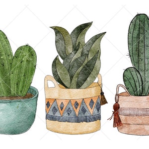 Watercolor Cactus Clipart, Potted Plants Clipart, House Plants Clipart ...