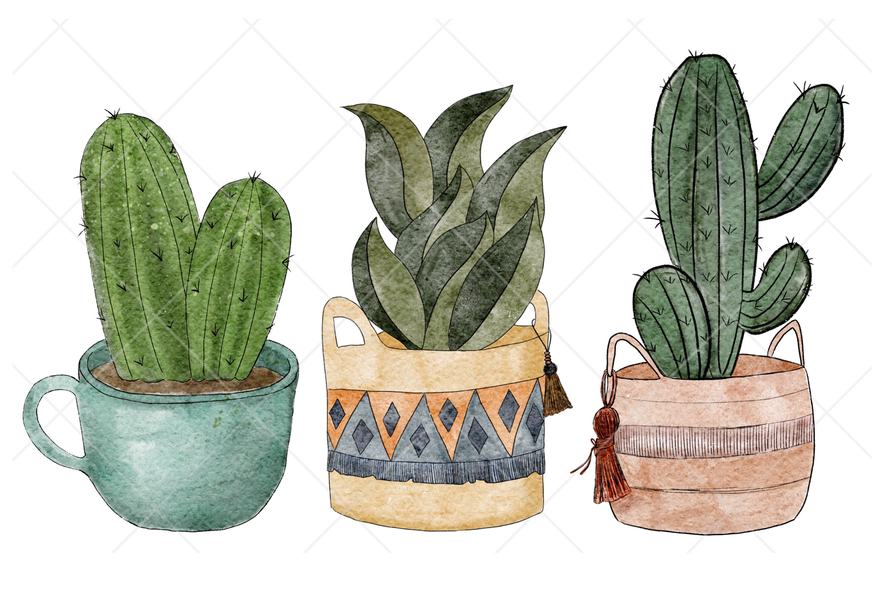 Watercolor Cactus Clipart, Potted Plants Clipart, House Plants Clipart ...