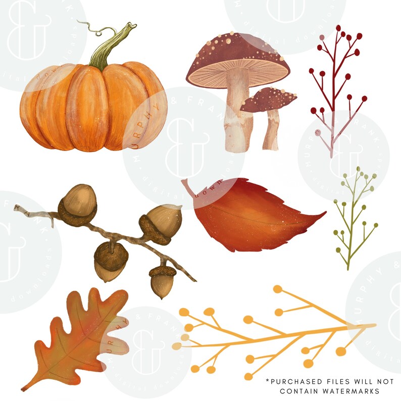 Autumn Clip Art, Pumpkin Png, Mushroom Png, Fall Clipart Bundle, Acorn ...