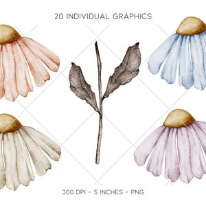 Watercolor Daisy Clipart, Floral Clipart, Daisies Clipart, Watercolor ...