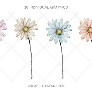 Watercolor Daisy Clipart, Floral Clipart, Daisies Clipart, Watercolor ...