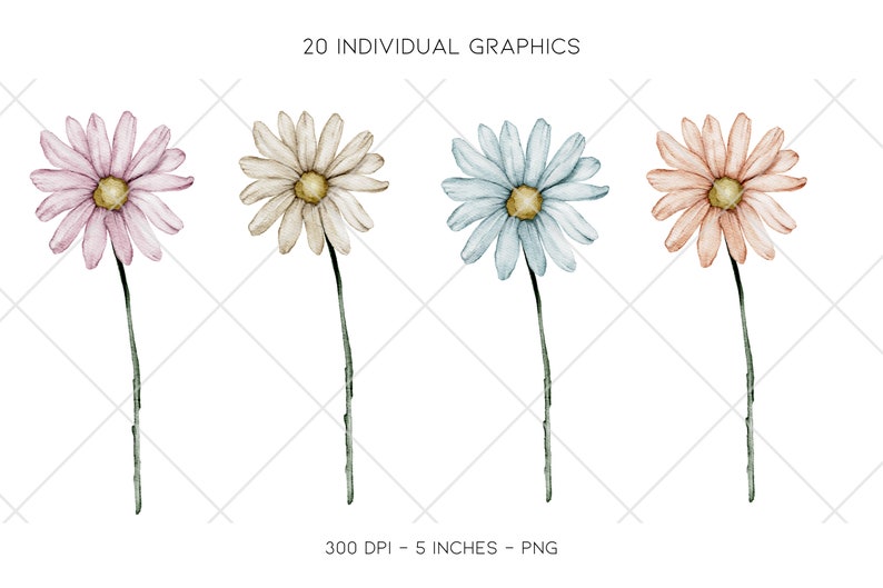 Watercolor Daisy Clipart, Floral Clipart, Daisies Clipart, Watercolor ...