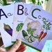 A-Z Fruits & Vegetable Alphabet Flash Cards Set for Educational Play ...