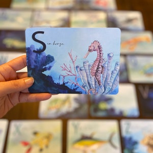 Underwater World: A-Z Educational Aquatic Alphabet Flash Cards - Etsy UK