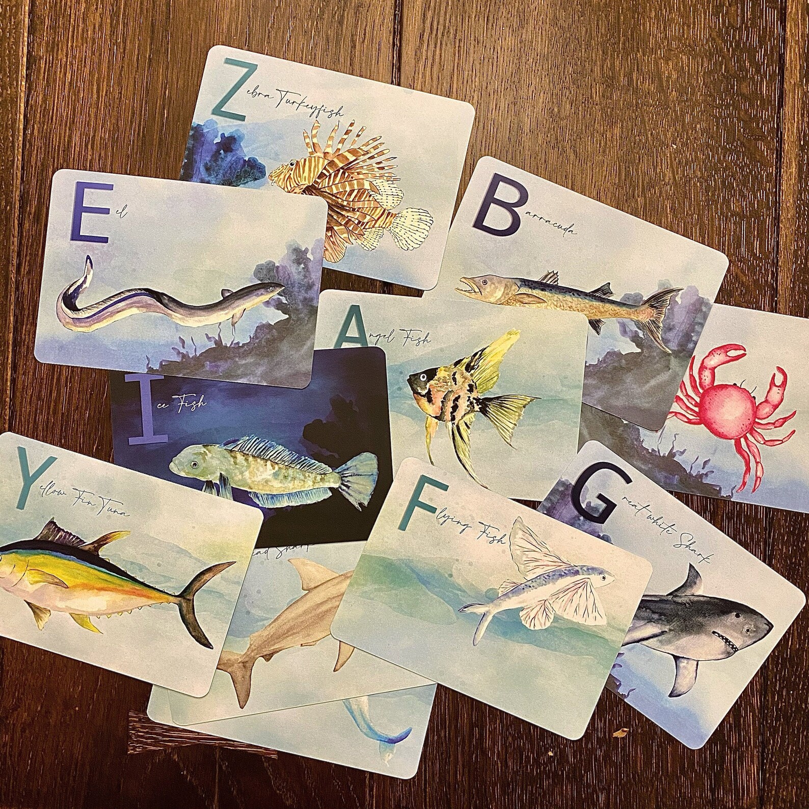 Underwater World: A-Z Educational Aquatic Alphabet Flash Cards - Etsy UK