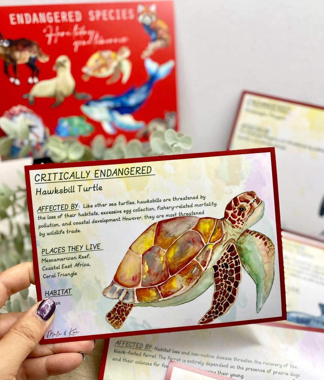 Endangered Species Cards Here Today Gone Tomorrow - Etsy