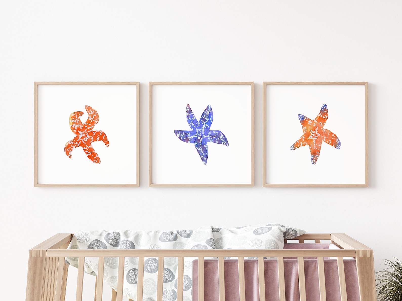 Watercolor Tide Pool Marine Life Clip Art Illustration - Digital ...