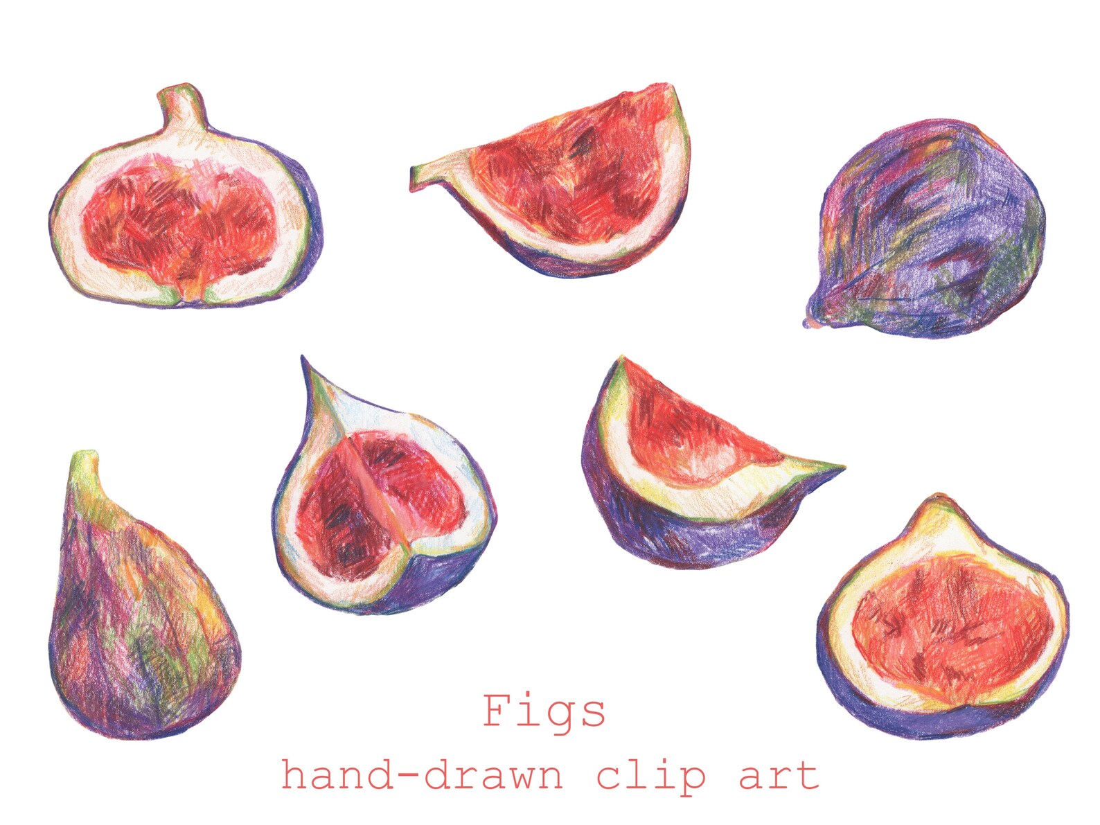 Fig Hand-drawn Clip Art - 7 Unique Figs - Transparent Background PNG ...