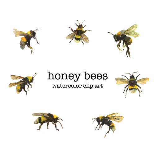 Watercolor Honey Bees Clip Art Digital Download PNG | Etsy