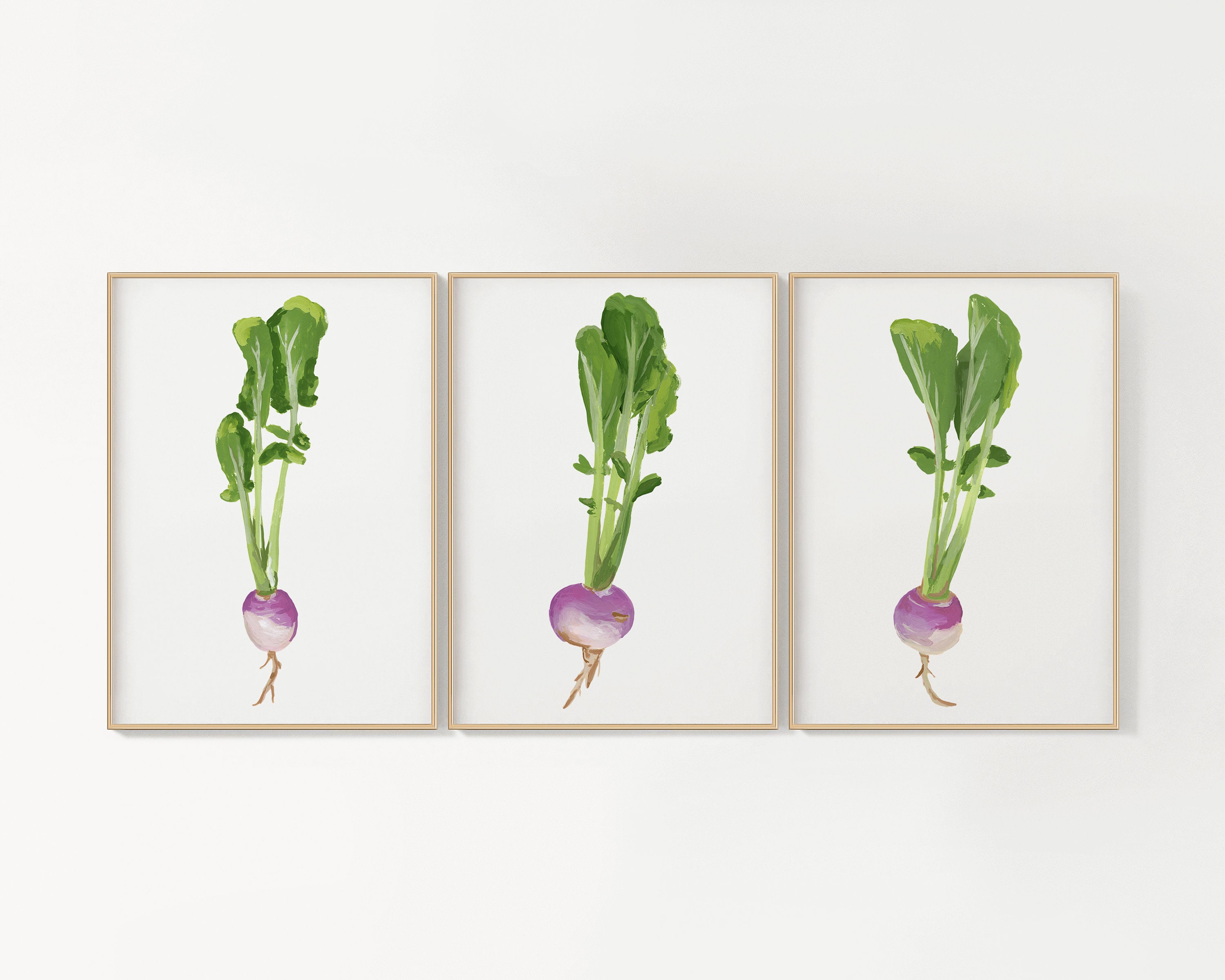 Hand Painted Turnip Clip Art Illustration - Digital Download PNG ...
