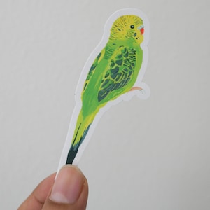Parakeet Budgie Vinyl Matte Stickers - 3x2" Weatherproof Decal - High ...