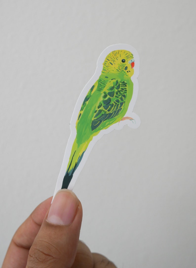 Parakeet Budgie Vinyl Matte Stickers 3x2 Weatherproof - Etsy