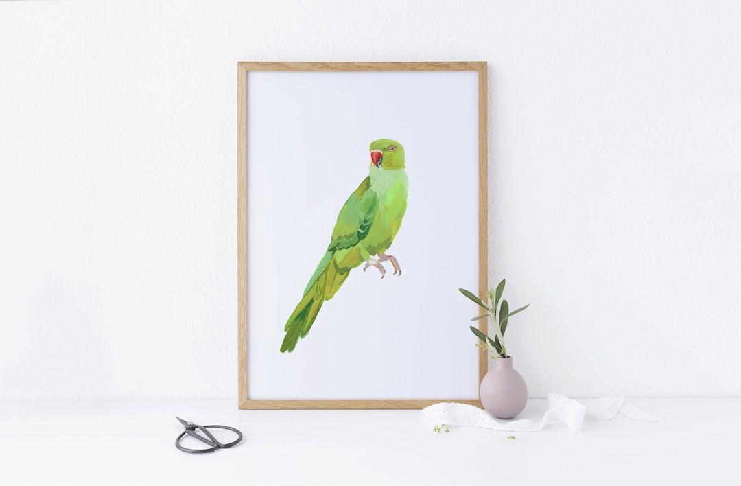 Green Indian Ringneck Parrot Bird Illustration Giclee Fine Art Print - Etsy
