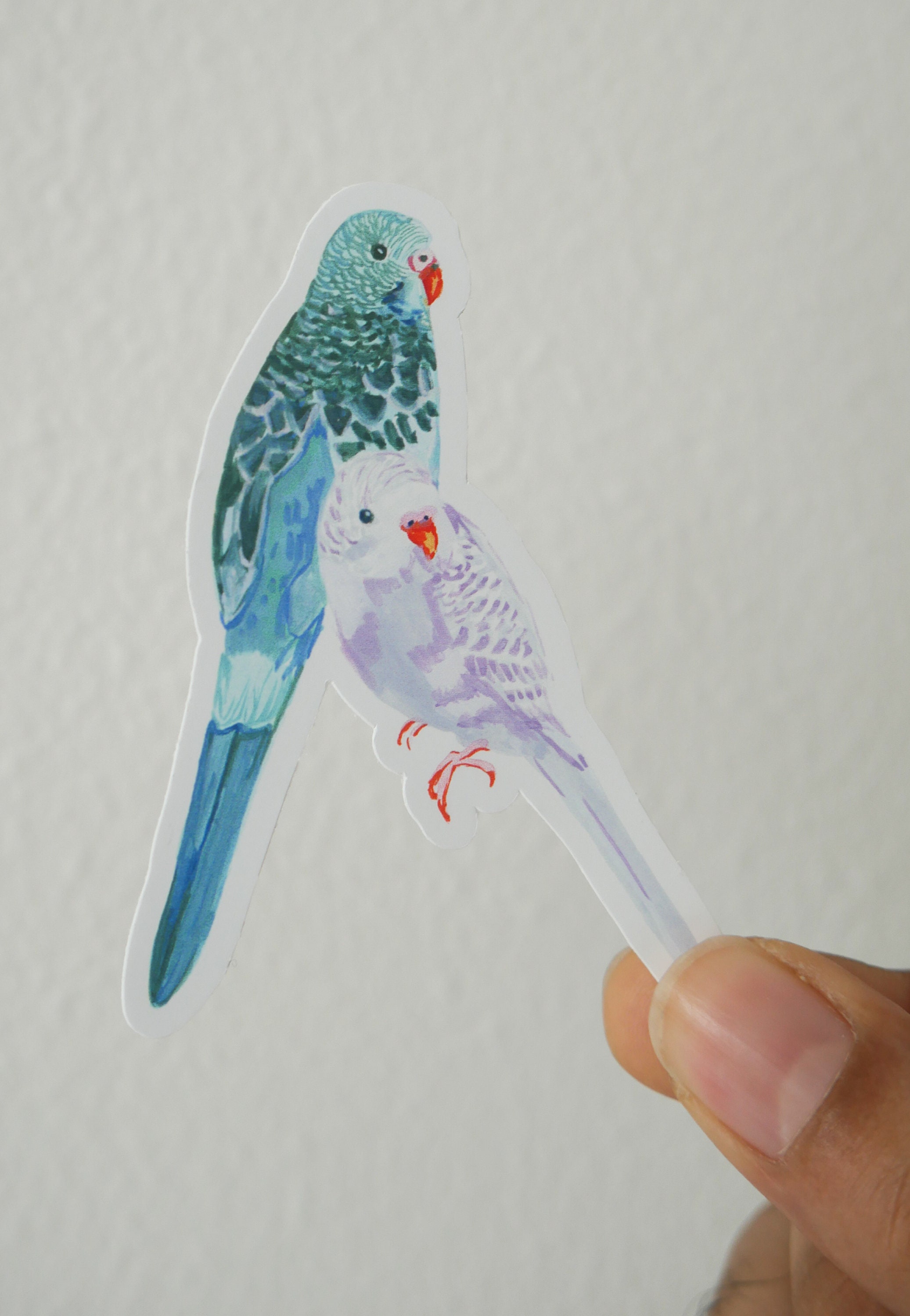 Parakeet Budgie Vinyl Matte Stickers 3x2 Weatherproof | Etsy