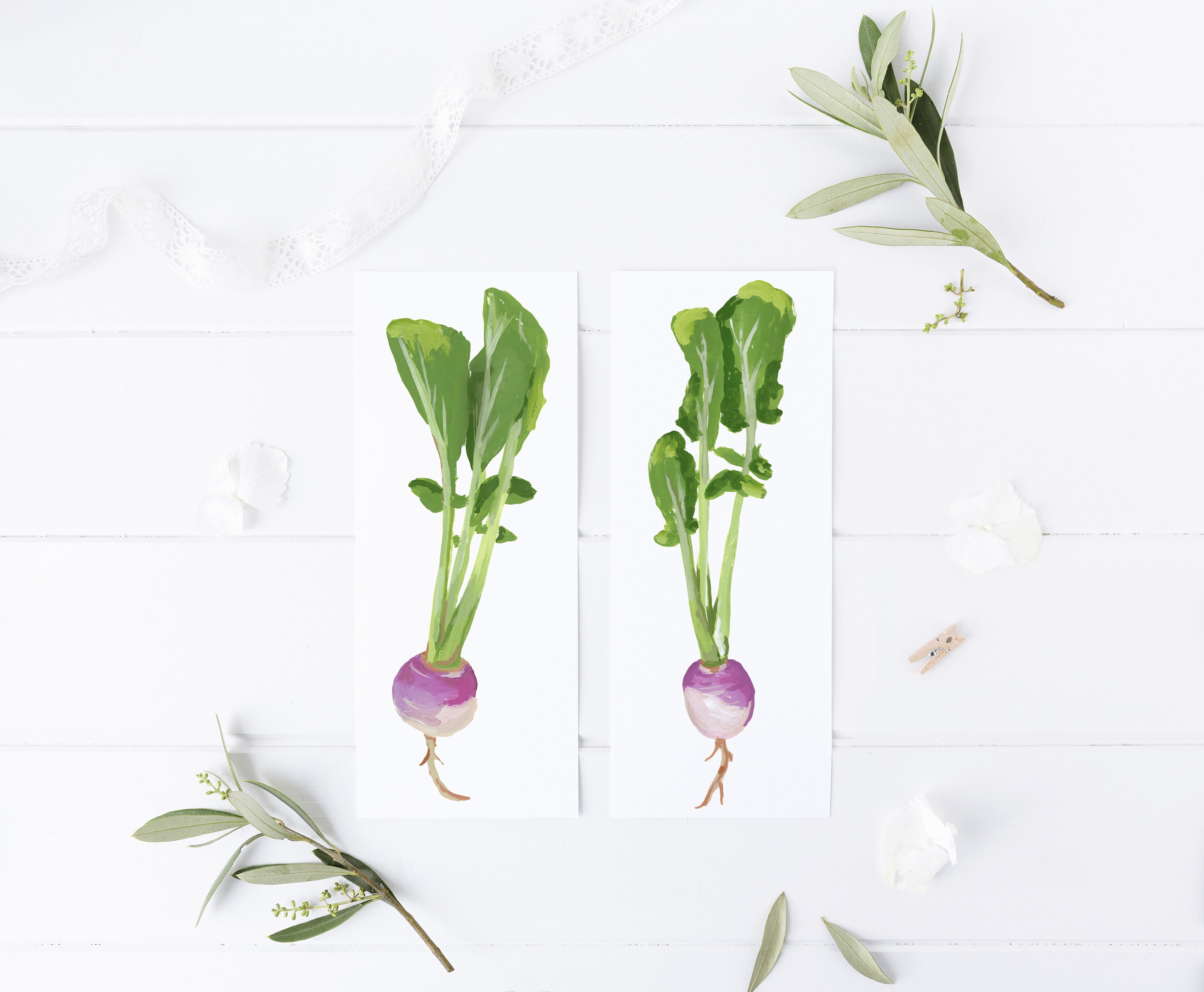 Hand Painted Turnip Clip Art Illustration - Digital Download PNG ...
