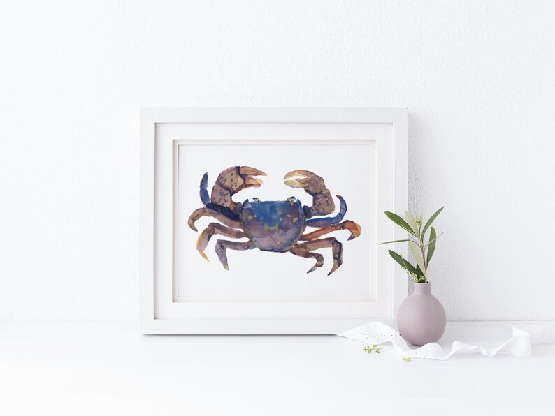 Watercolor Tide Pool Marine Life Clip Art Illustration - Digital ...