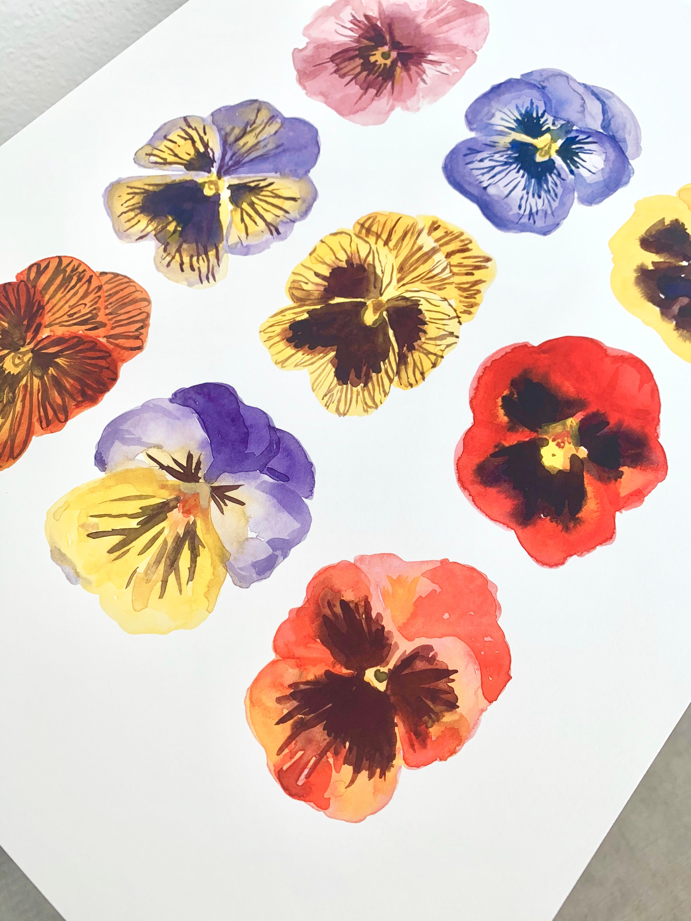 Watercolor Pansy Botanical Illustration Giclee Print - Etsy
