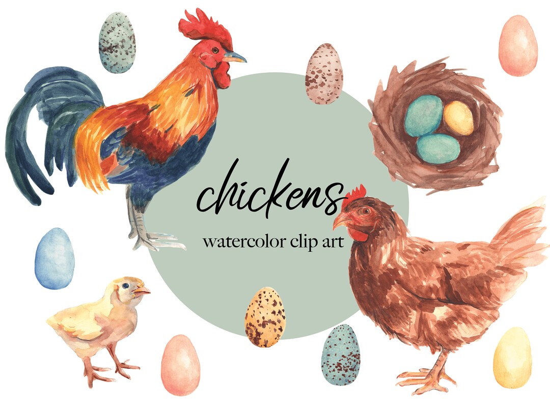 Watercolor Chickens Clip Art - Transparent Background Pngs - 11 Unique ...