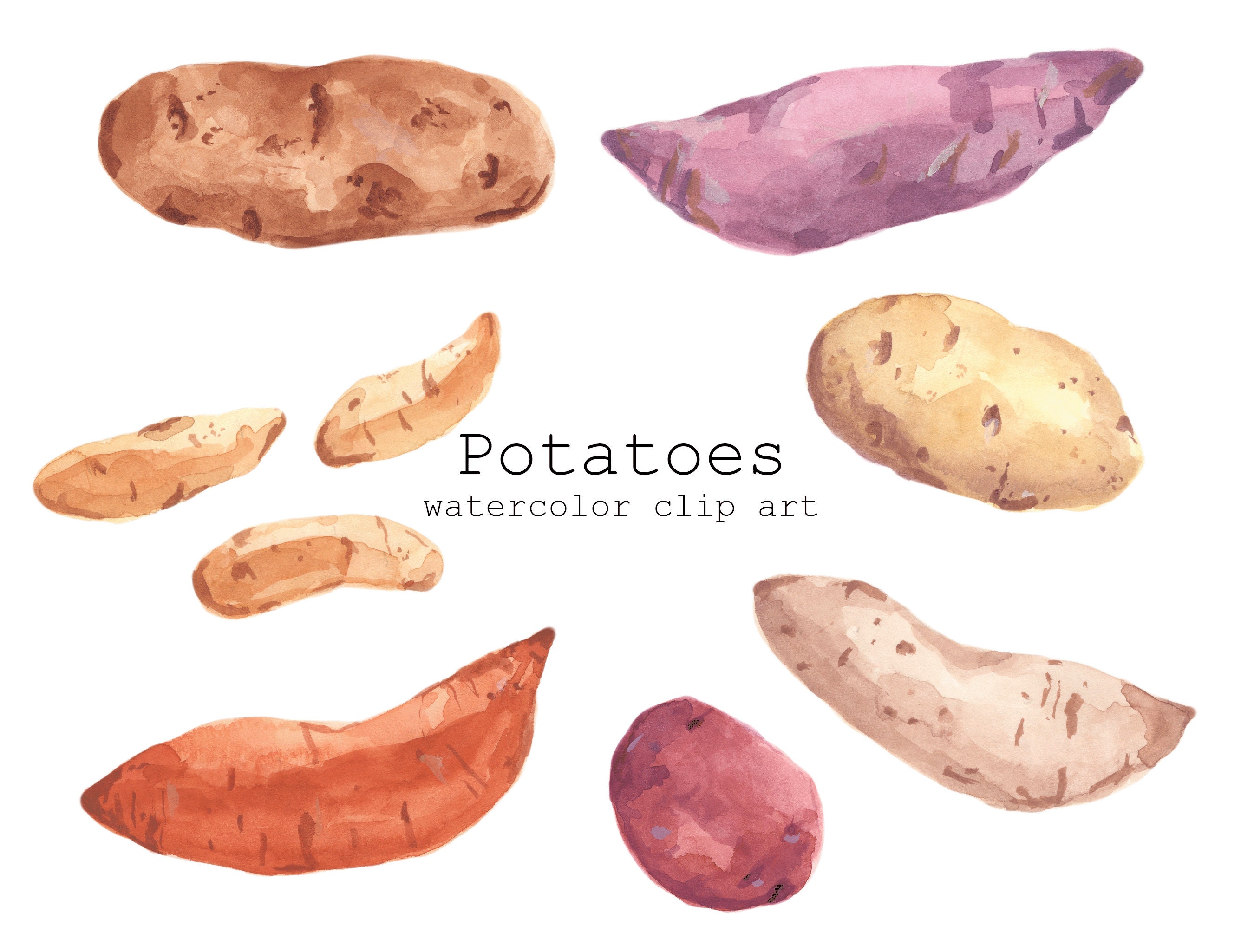 Watercolor Potato Clip Art - Digital Download PNG - Assorted Rainbow ...