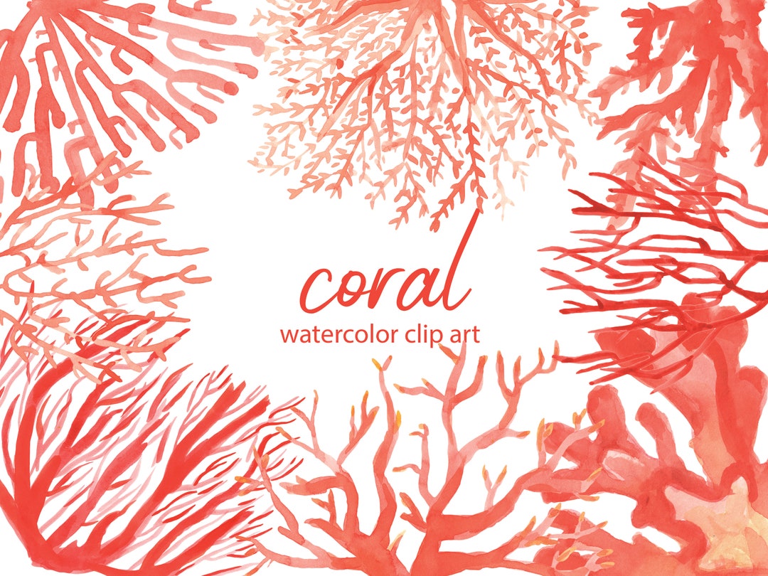 Watercolor Coral Clip Art - Transparent Background - Coral Wreath and ...