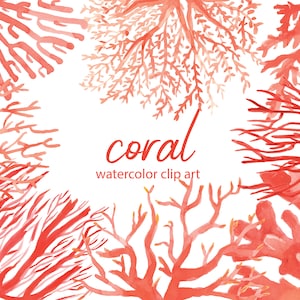 Watercolor Coral Clip Art - Transparent Background - Coral Wreath and ...