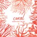 Watercolor Coral Clip Art - Transparent Background - Coral Wreath and ...