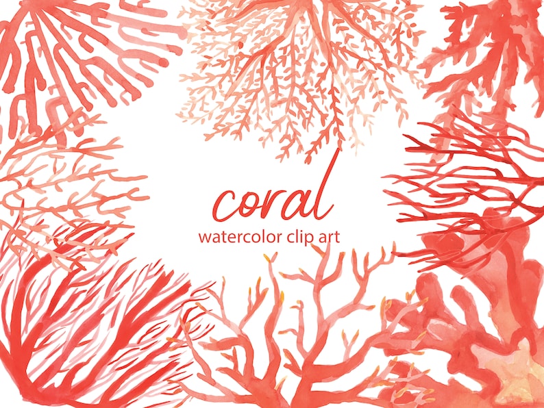 Watercolor Coral Clip Art - Transparent Background - Coral Wreath and ...