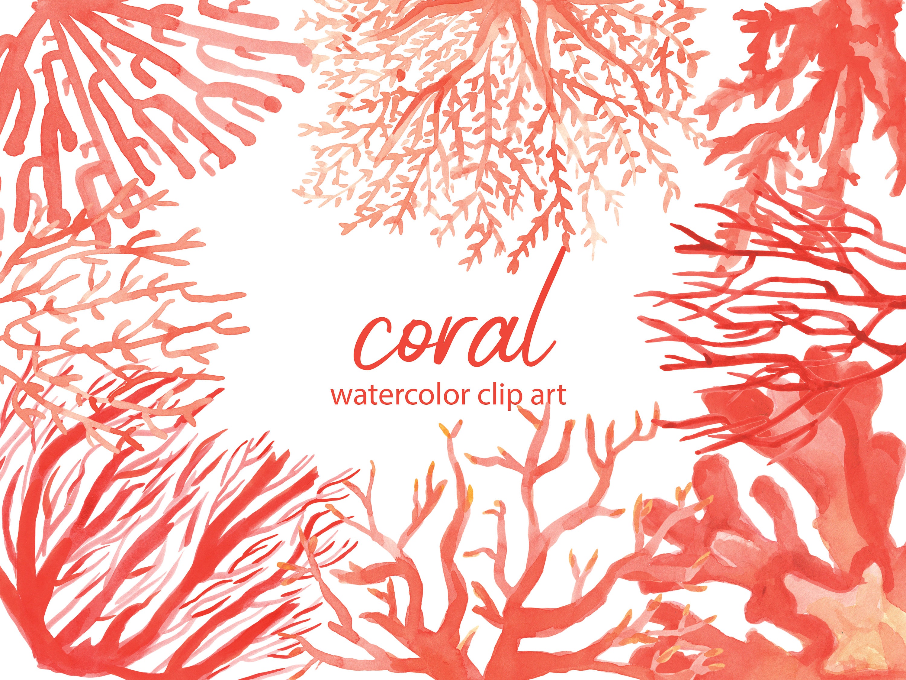 Watercolor Coral Clip Art Transparent Background Coral Wreath and Frame ...