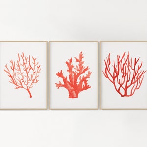 Watercolor Coral Clip Art - Transparent Background - Coral Wreath and ...