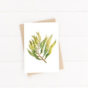 Watercolor Tide Pool Marine Life Clip Art Illustration - Digital ...