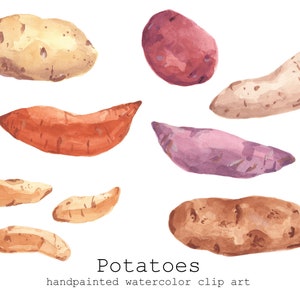 Watercolor Potato Clip Art - Digital Download PNG - Assorted Rainbow ...
