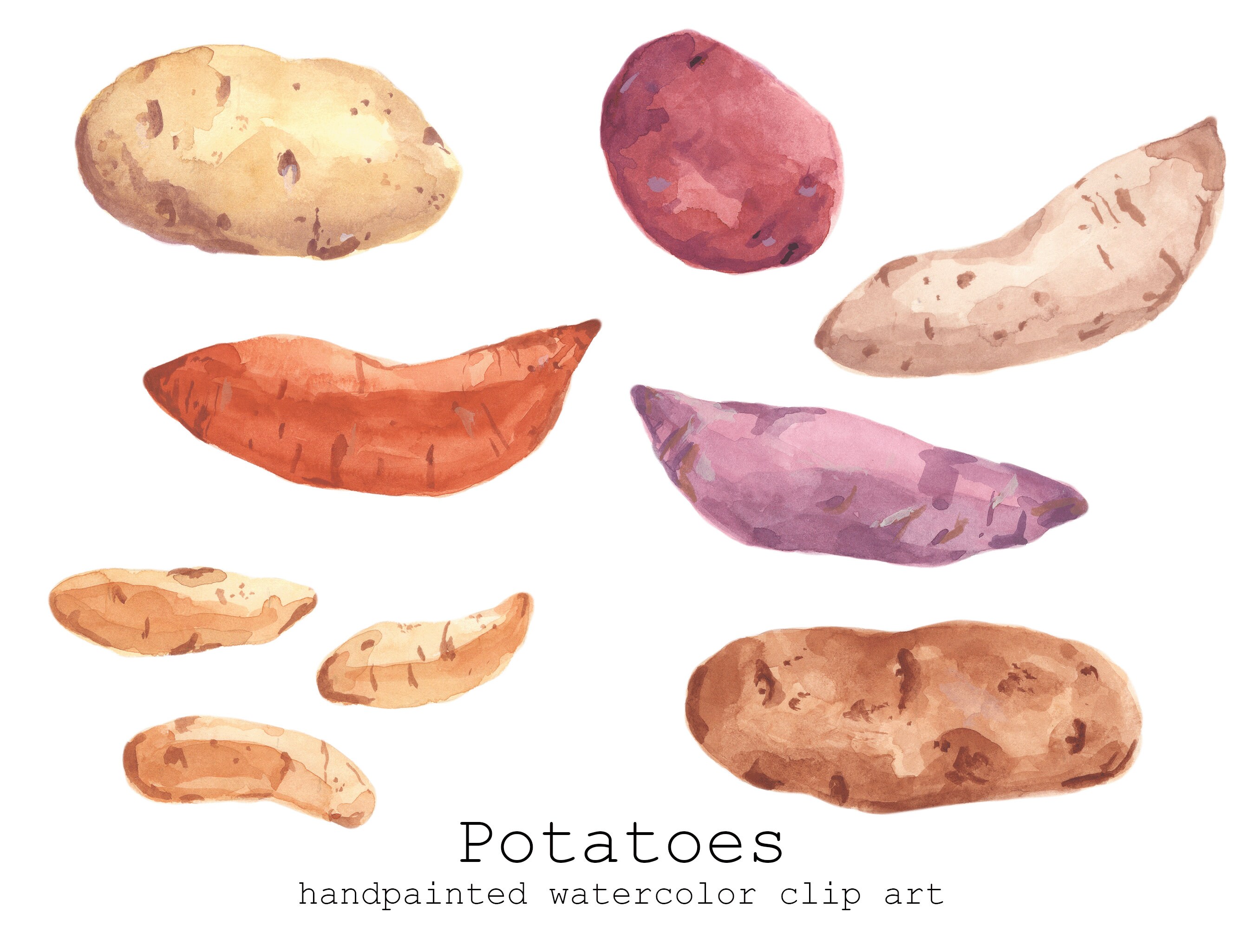Watercolor Potato Clip Art - Digital Download PNG - Assorted Rainbow ...