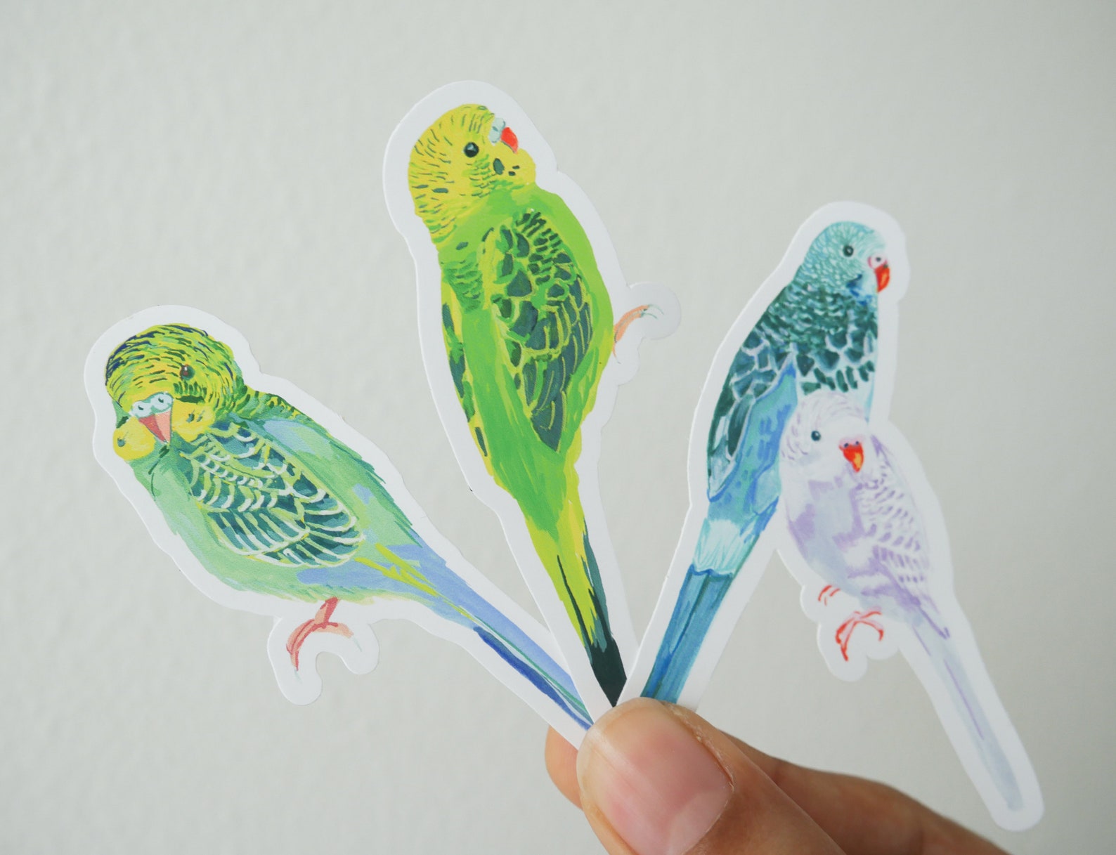 Parakeet Budgie Vinyl Matte Stickers - 3x2" Weatherproof Decal - High ...