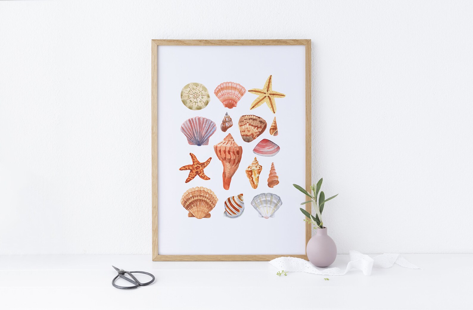 Watercolor Seashell Clip Art - Digital Download PNG - Transparent ...