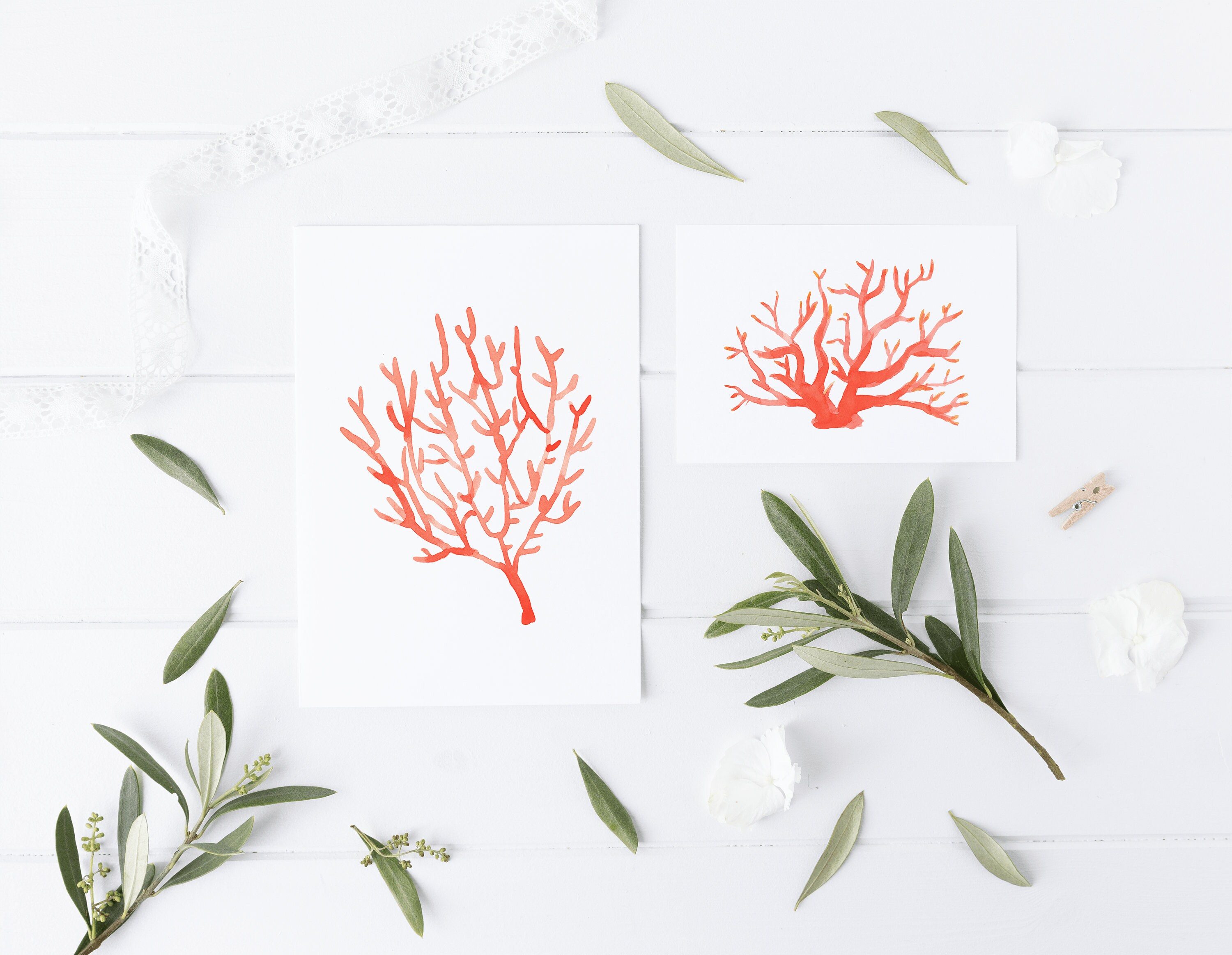 Watercolor Coral Clip Art Transparent Background Coral Wreath and Frame ...