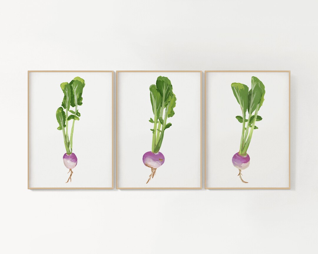 Watercolor Turnip Prints - Printable Gouache Wall Art - Digital ...