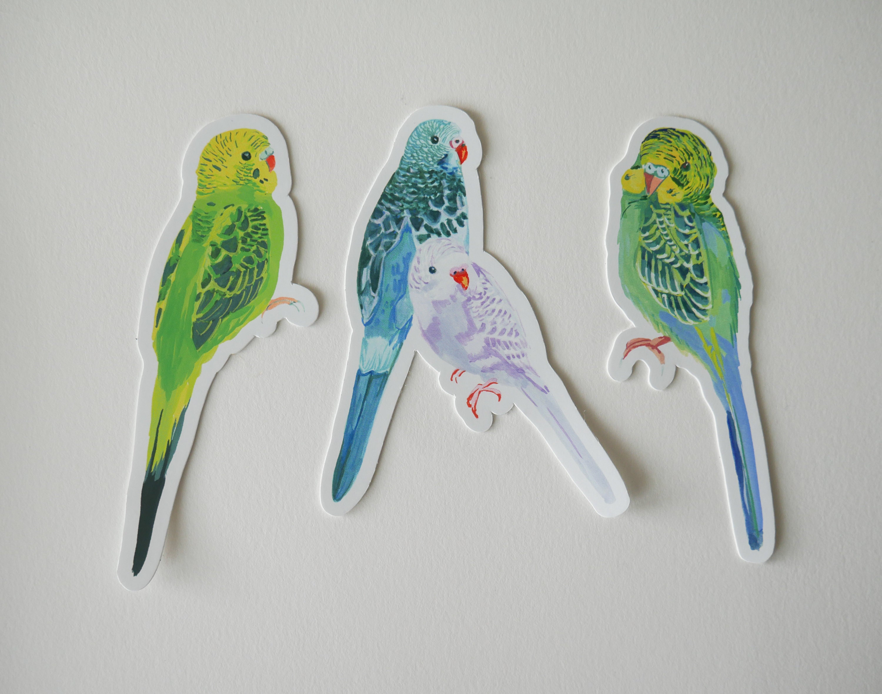 Parakeet Budgie Vinyl Matte Stickers 3x2 Weatherproof | Etsy