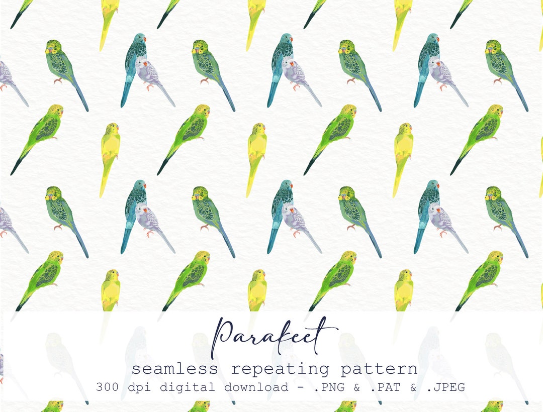 Parakeet/budgie Seamless Pattern - Hand Painted Unique Design ...