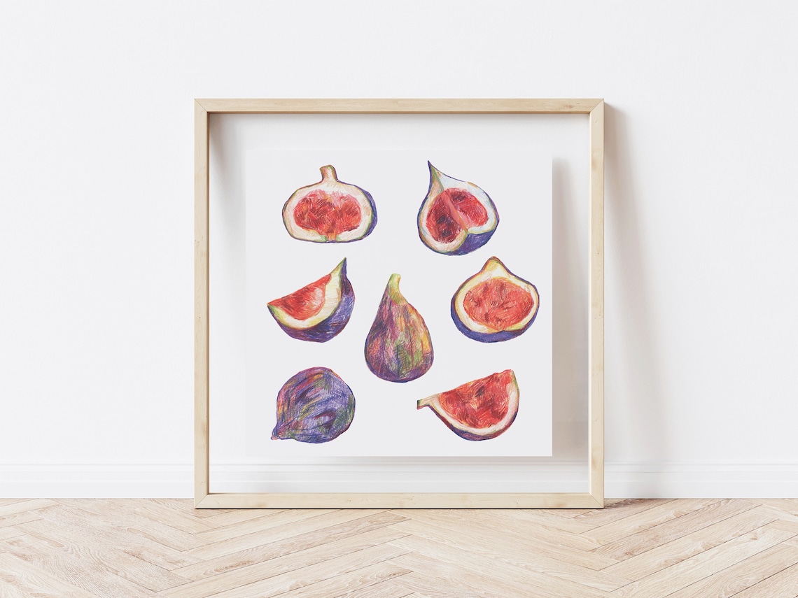 Fig Hand-drawn Clip Art - 7 Unique Figs - Transparent Background PNG ...