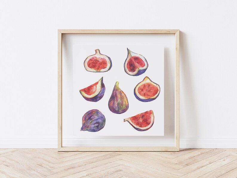 Fig Hand-drawn Clip Art 7 Unique Figs Transparent Background PNG ...