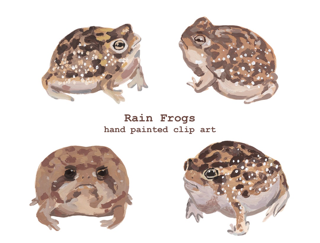 Hand Painted Rain Frog Clip Art Digital Download PNG 4 Unique Desert ...