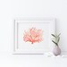 Watercolor Coral Clip Art - Transparent Background - Coral Wreath and ...