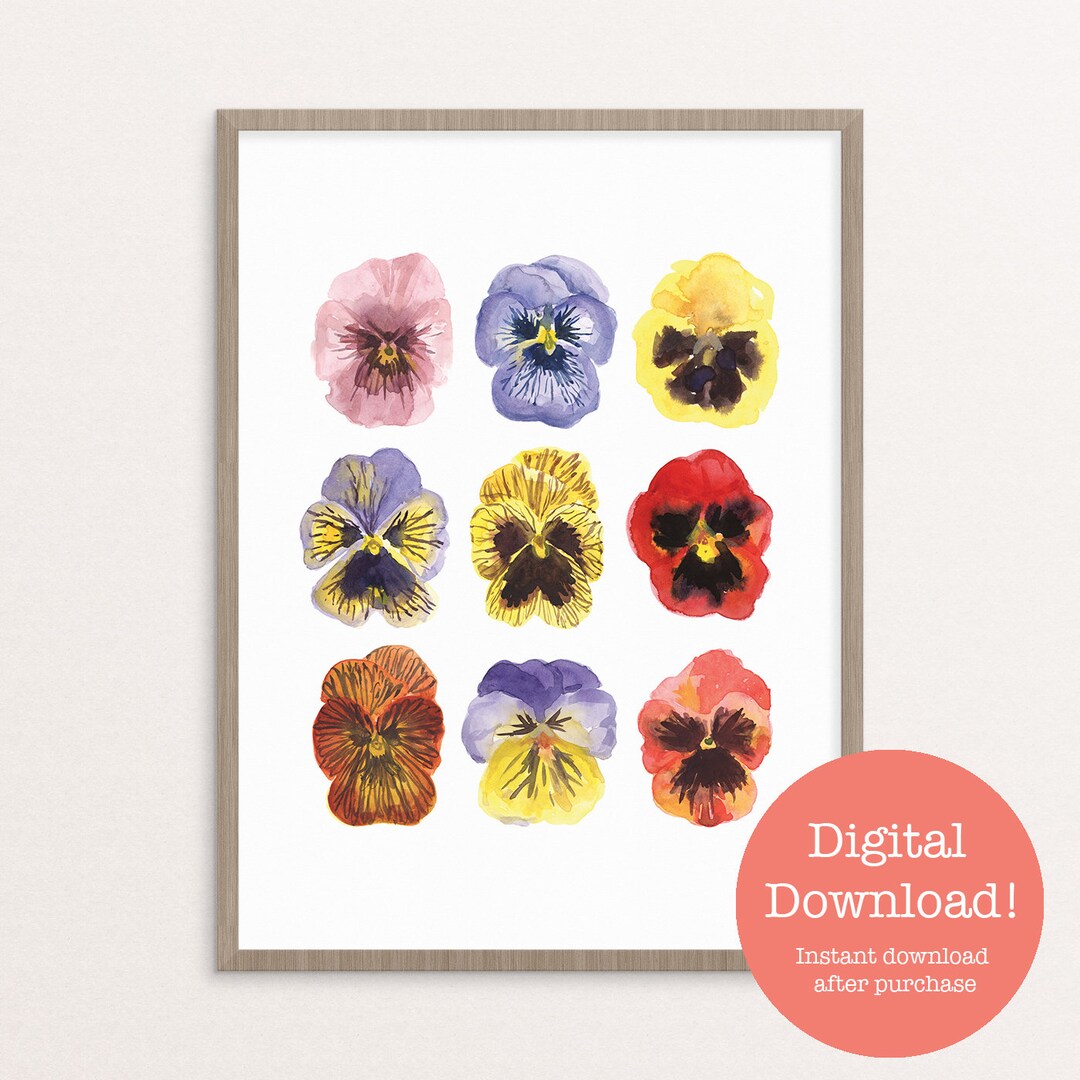Watercolor Pansy Botanical Illustration - Digital Download - Printable ...