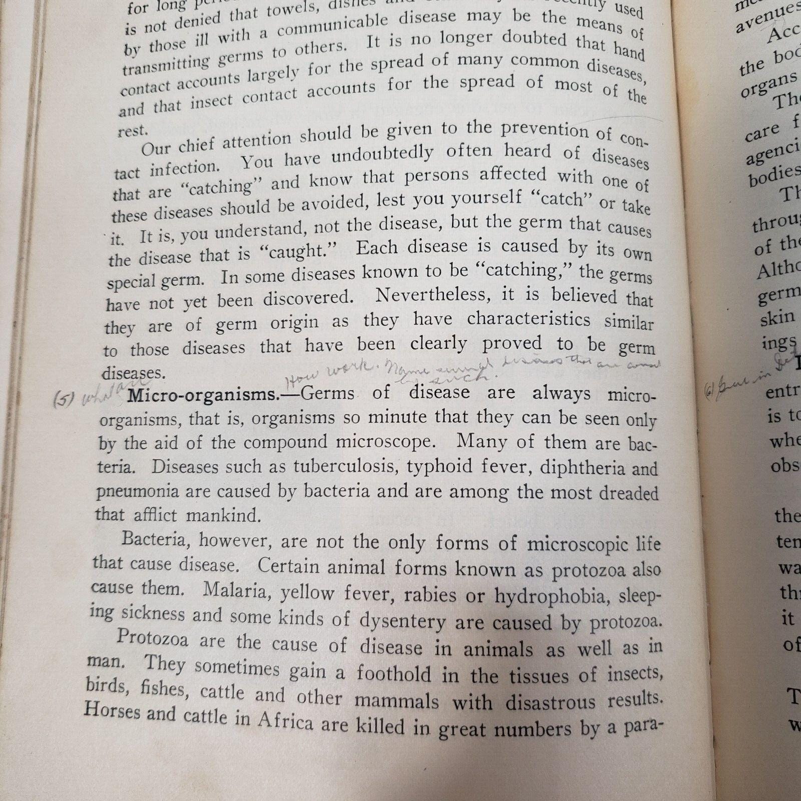 Vintage Schoolbooks Lot of 5 Books Decorative Stack Old Shabby Library ...